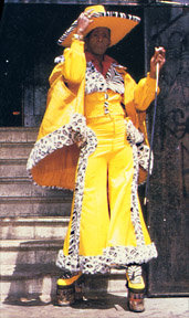 fly_guy_pimp - Richard Charles Stevens Fusions