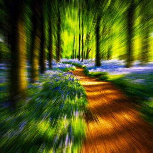 acid_crimson_quill (8) - Richard Charles Stevens Fusions