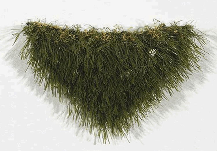 3-linda-gass-curator-designer-merkin-art-pubic-hair-pubic-wig-photos ...